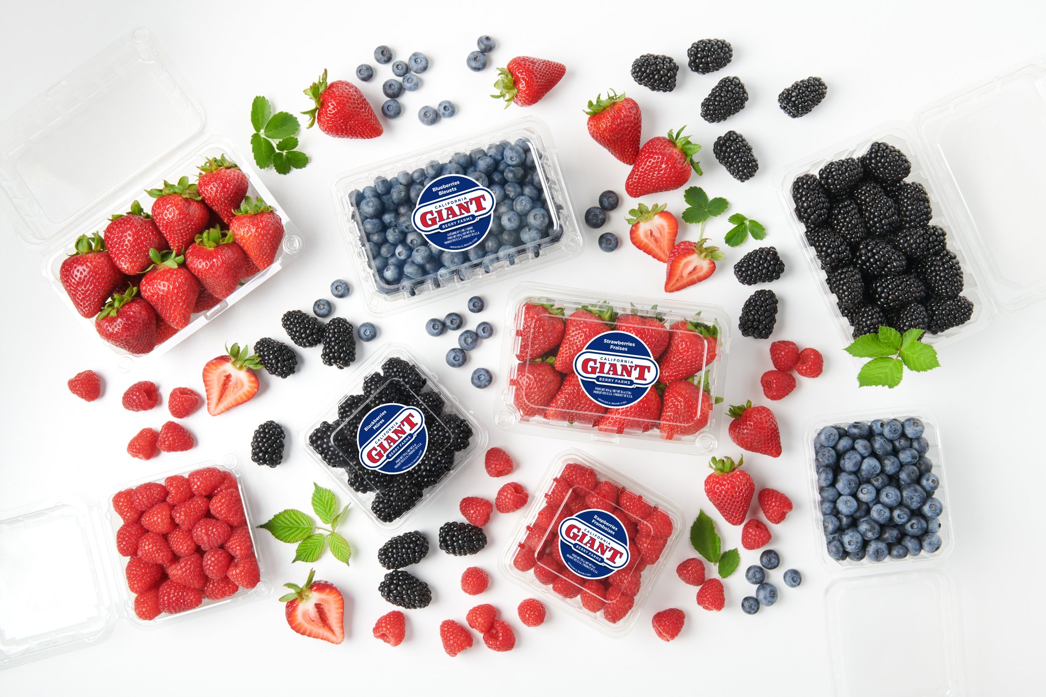 Berry Nutrition 101: Nutrition Facts & Health Benefits