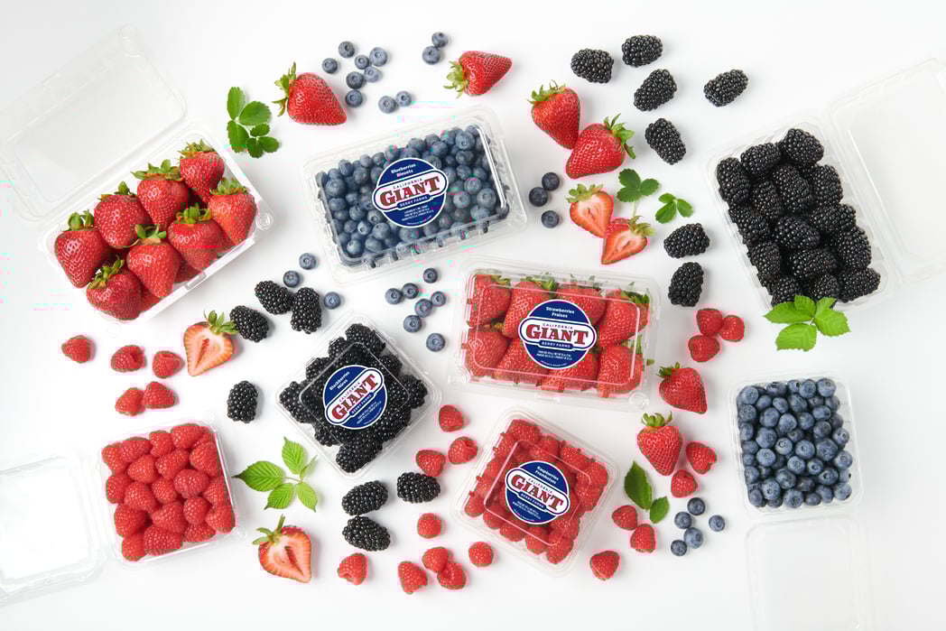 Berry Nutrition 101: Nutrition Facts & Health Benefits